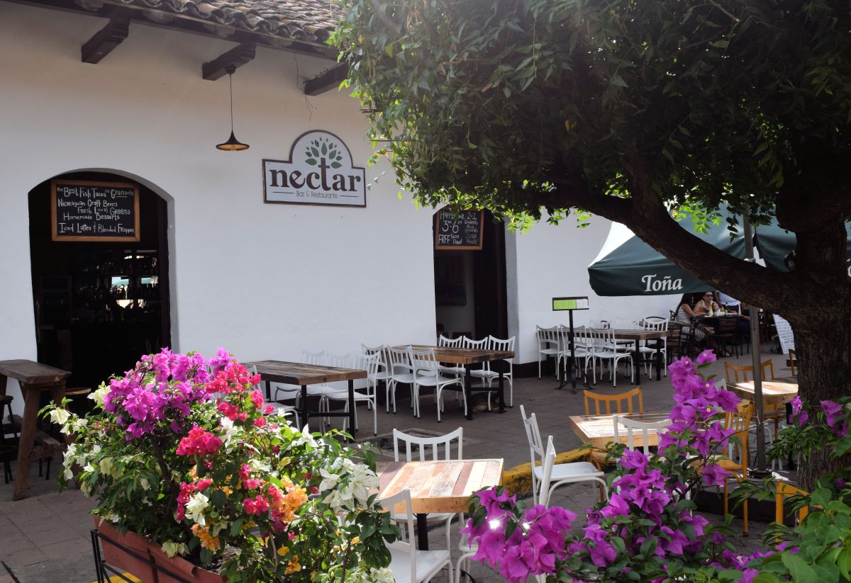 nectar bar & restaurant